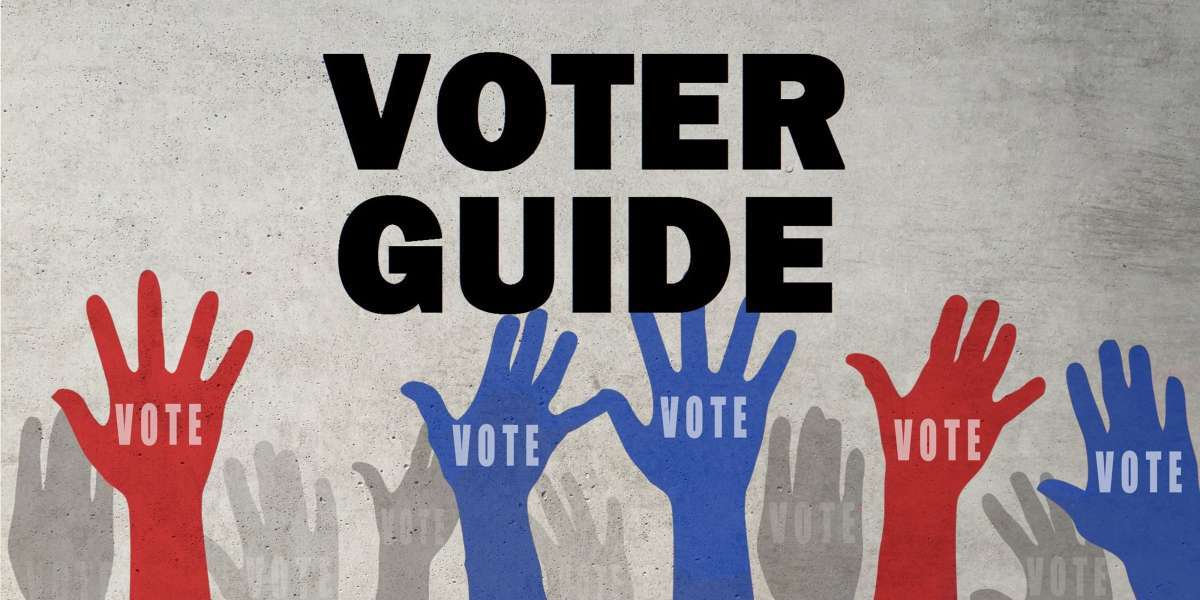 2024 General Election Toolkit - NYC Hemophilia Chapter
